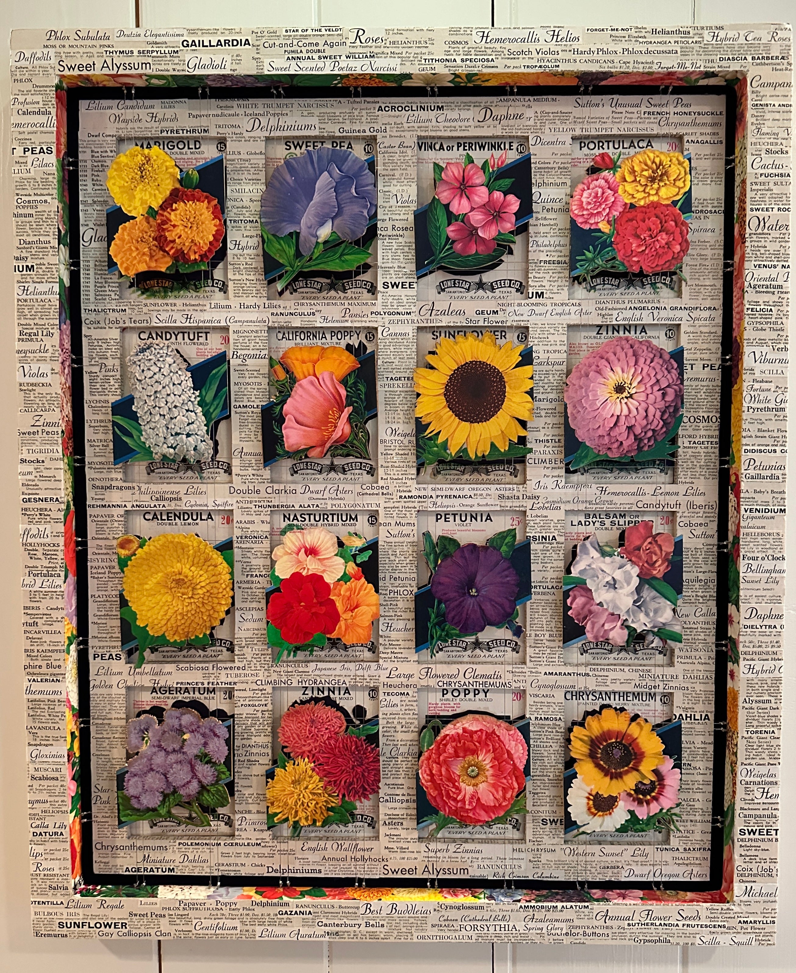 LONE STAR GARDEN – Amy Walker Schott