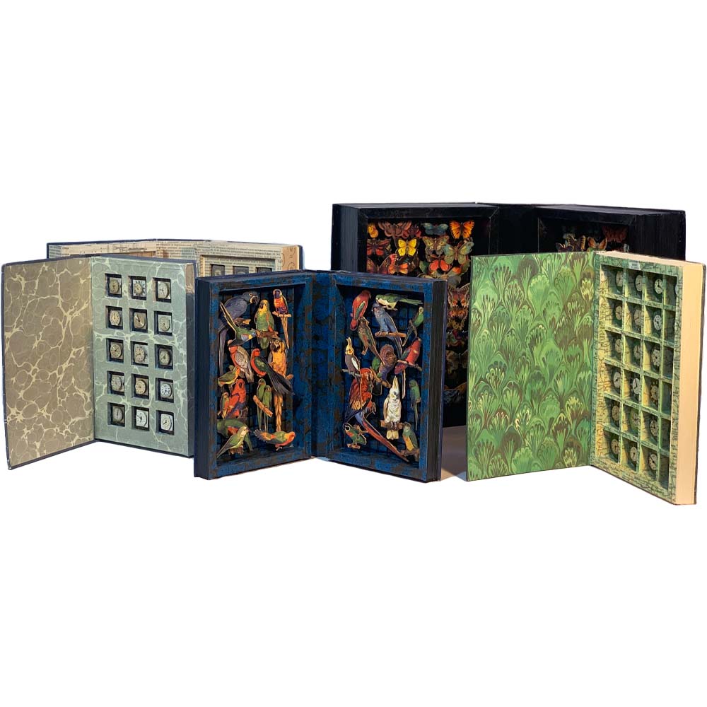 ALTERED BOOKS – Amy Walker Schott
