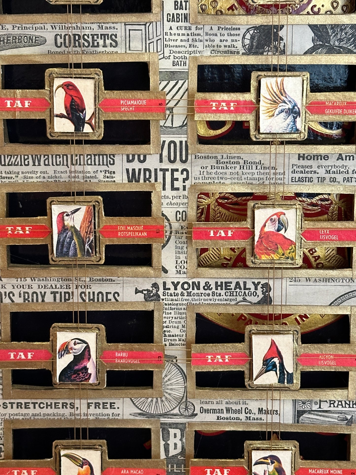 MEDIUM TAF BIRDS No. 2 CIGAR BOX – Amy Walker Schott