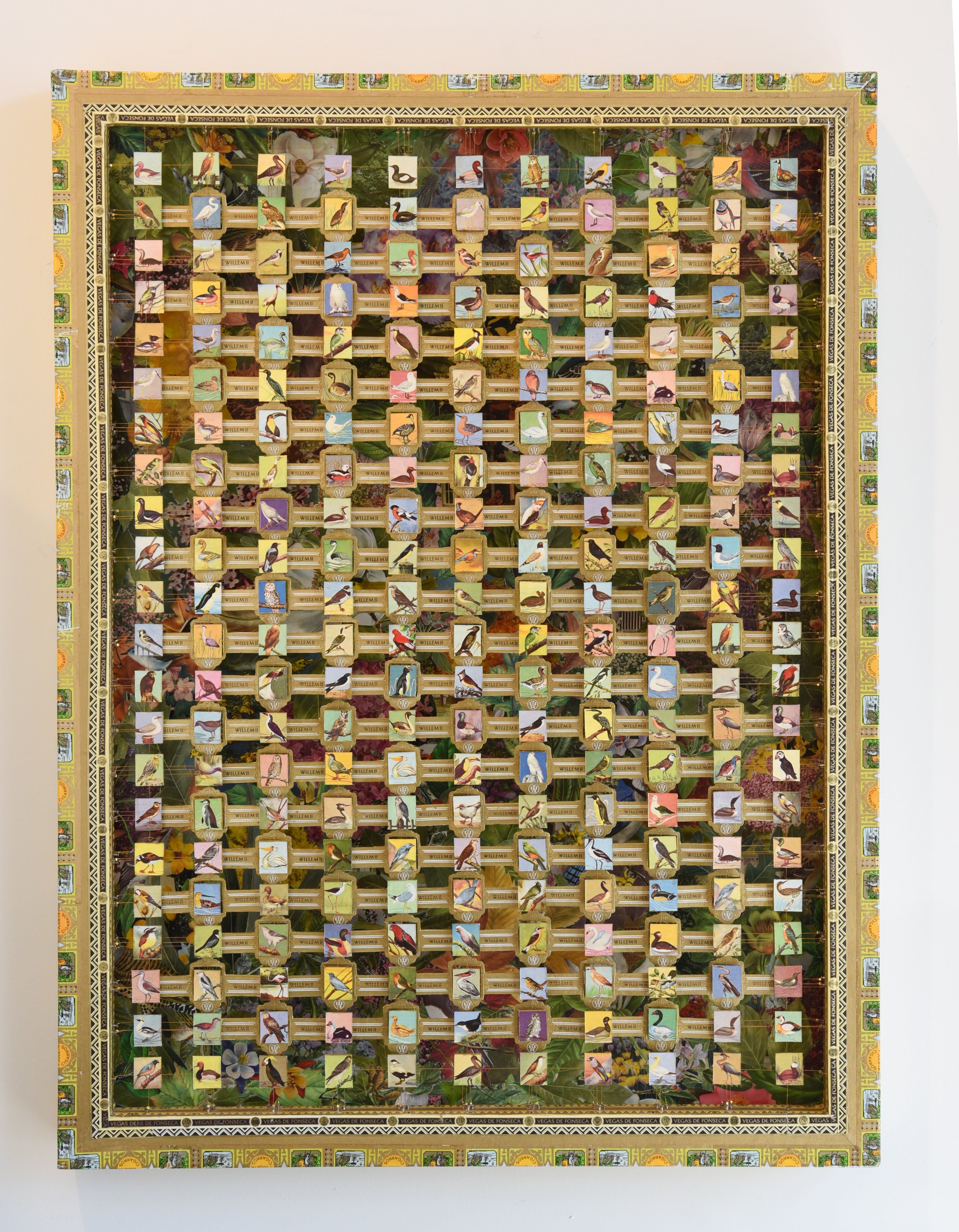 LARGE WILLEM BIRD CIGAR BAND COLLECTION – Amy Walker Schott