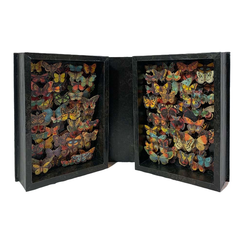 WEBSTER'S BUTTERFLY ALTERED BOOK - Sold – Amy Walker Schott